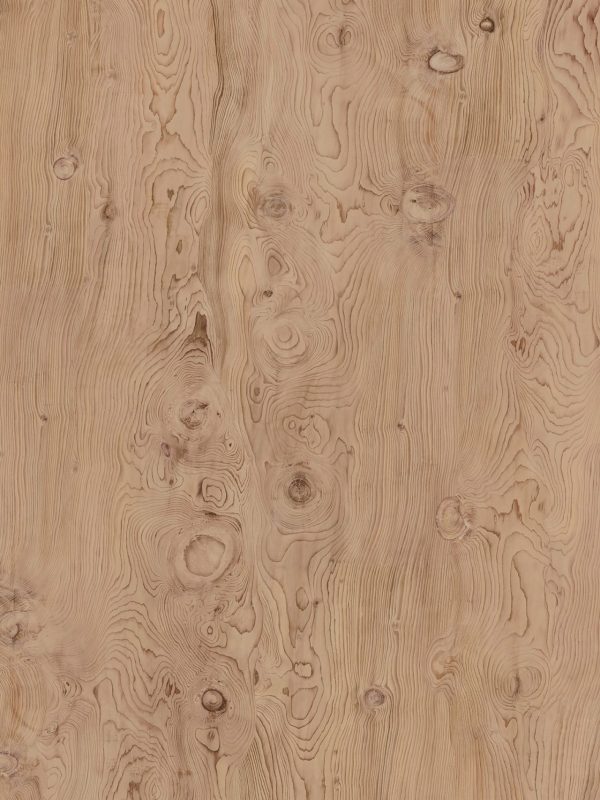 Neolith archivos - PIERINELLI